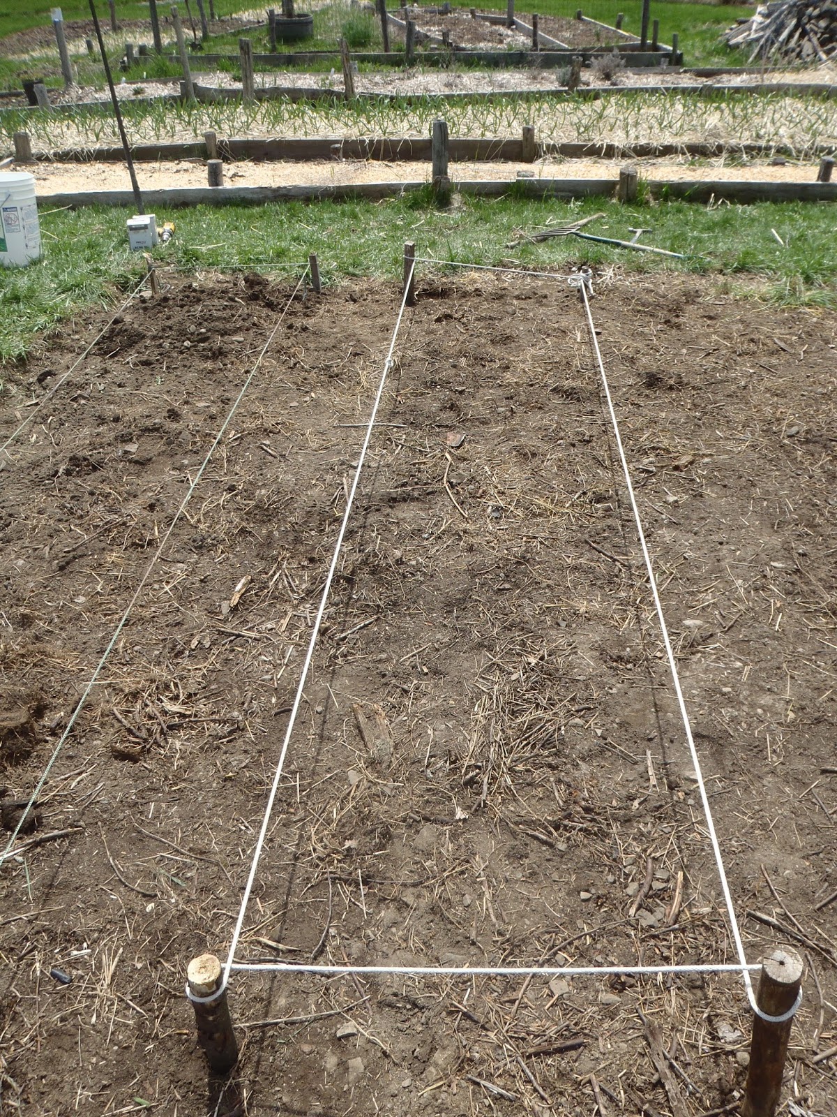 Have You Ever Picked A Carrot?: Home Garden Plot Part I: Use what you got