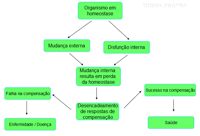 Homeostase; Homeostasia; Autorregulação Fisiológica