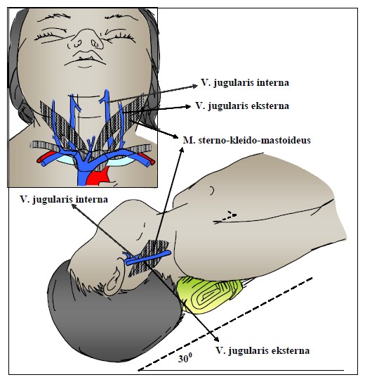 Quality Online Education: Obat dan Dasar dasar Penyuntikan