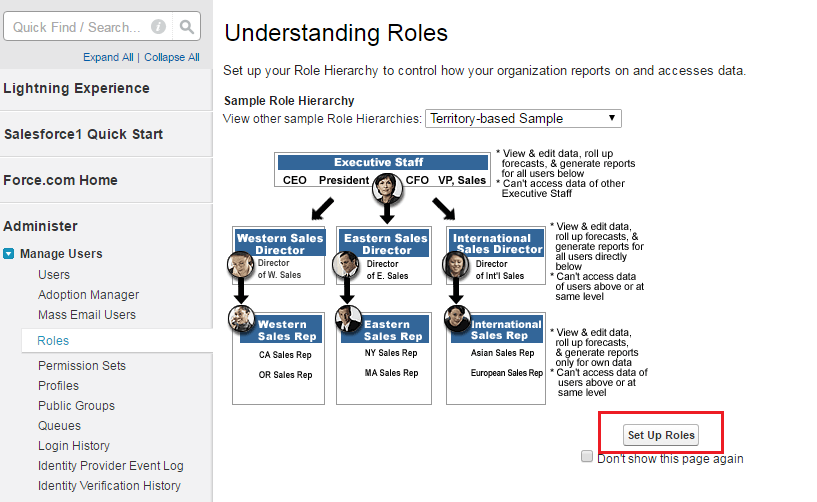 Create a Role in Salesforce