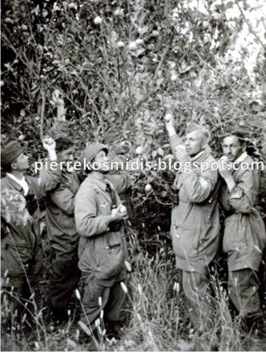 Battle of Crete: The end of German large scale airborne ops, the ...