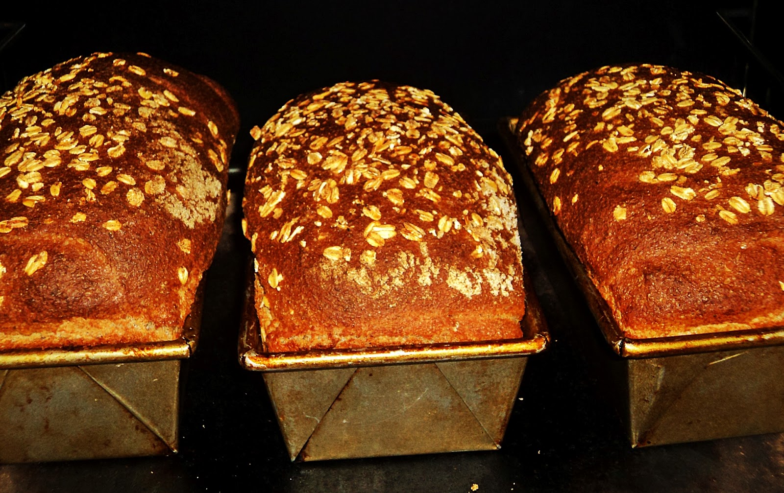 Whole Wheat Maple-Oatmeal Bread (recipe, pics, and step-by-step ...