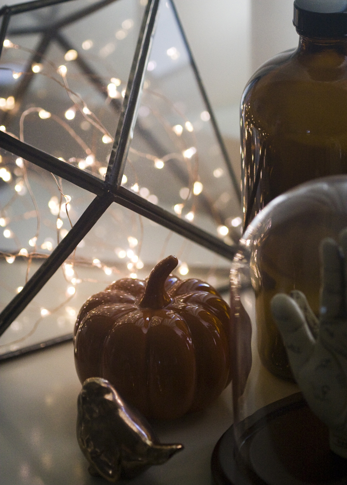 andrea despot photography blog