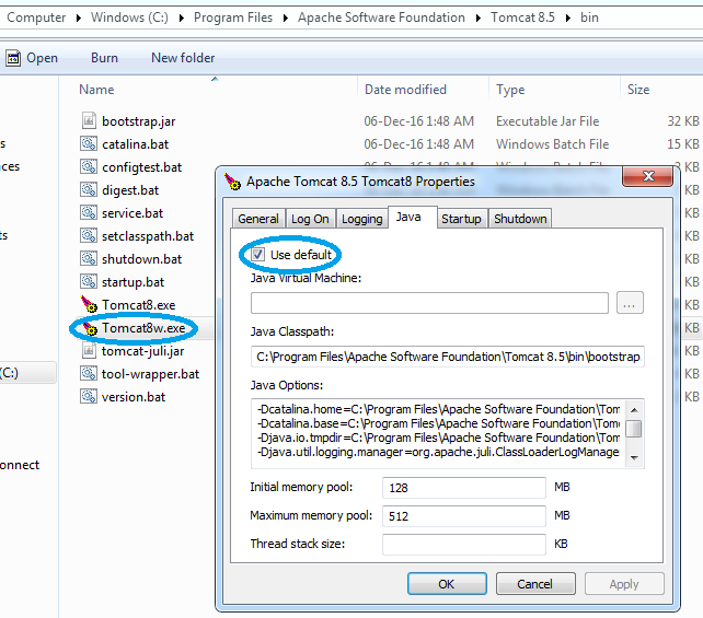 PSR.COM: Tomcat issue "windows could not start apache tomcat on local computer" after java ...