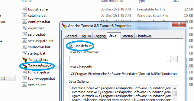 PSR.COM: Tomcat issue "windows could not start apache tomcat on local ...