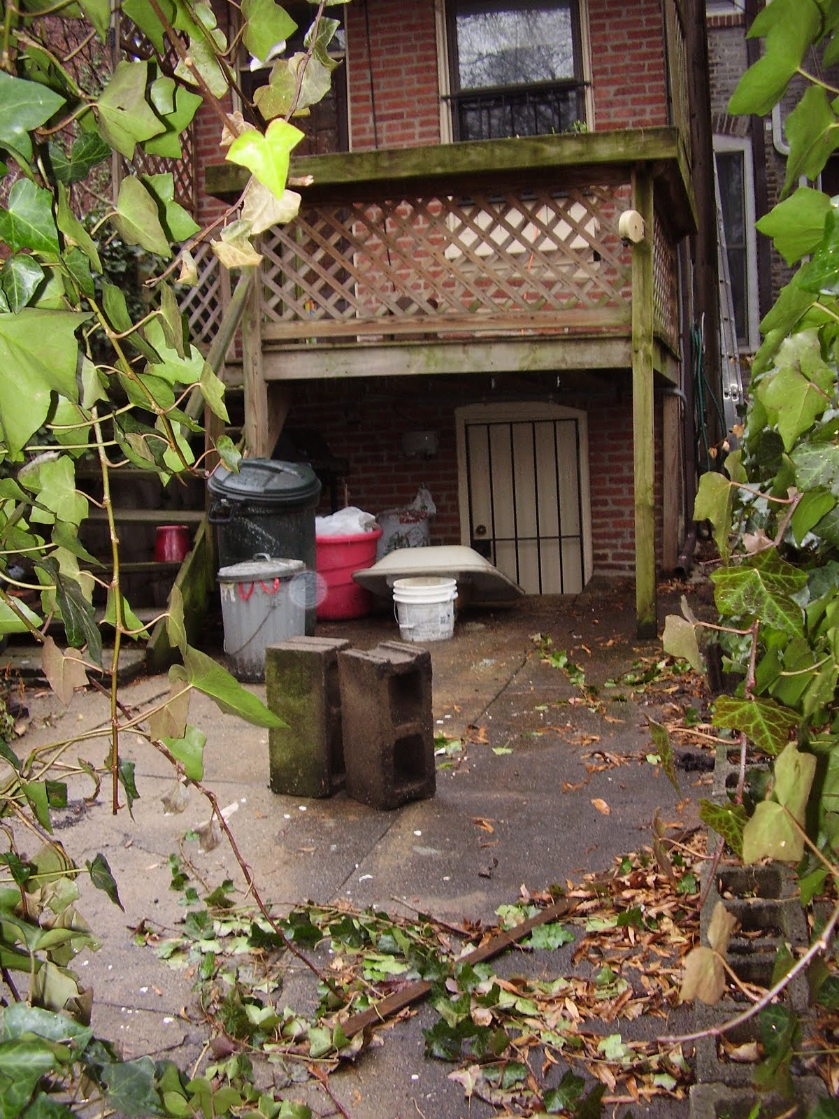 Seven Winds LLC: Small Back Yard made functional and spacious!