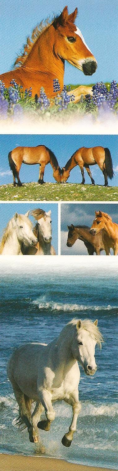 Chez Lilwenna: Marque-page chevaux