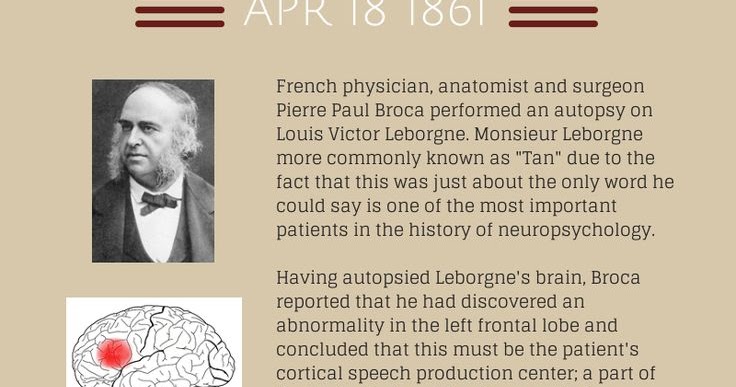 Spagnoli Cog-Blog 432H: CogBlog 2: Brain Injury Case Study of Louis ...