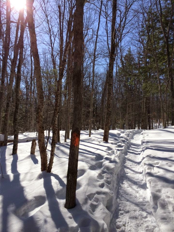 What's Next?: Pretty Darn Great