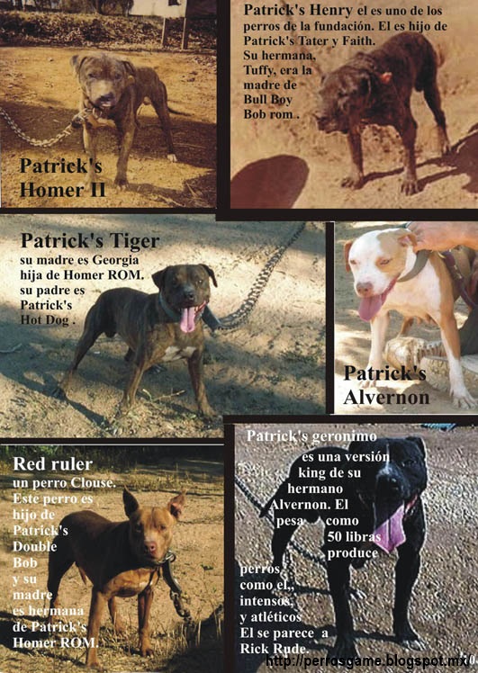 Pat Patrick - PerrosGame