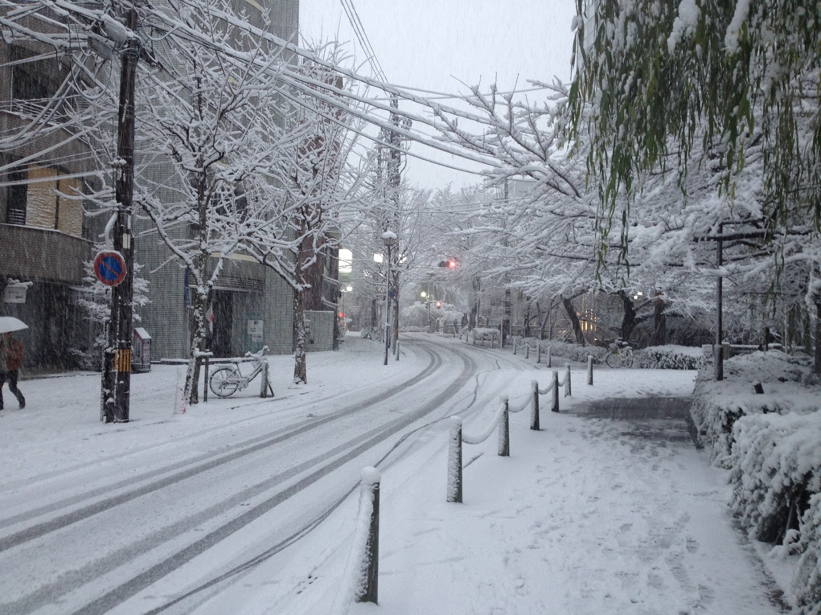 JEMPOLSLIFE: How to live at kyoto - 4 Musim Di Jepun