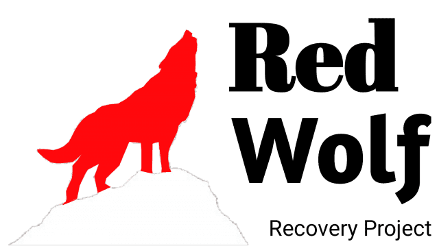 Mengenal apa itu RedWolf Recovery yang sedang ramai di gunakan sekarang ...