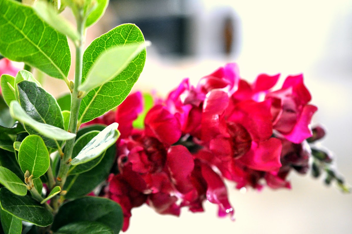 Hand to Paper: FIRST FLOWERS..PHOTO SHOOT..APRIL AND MAY