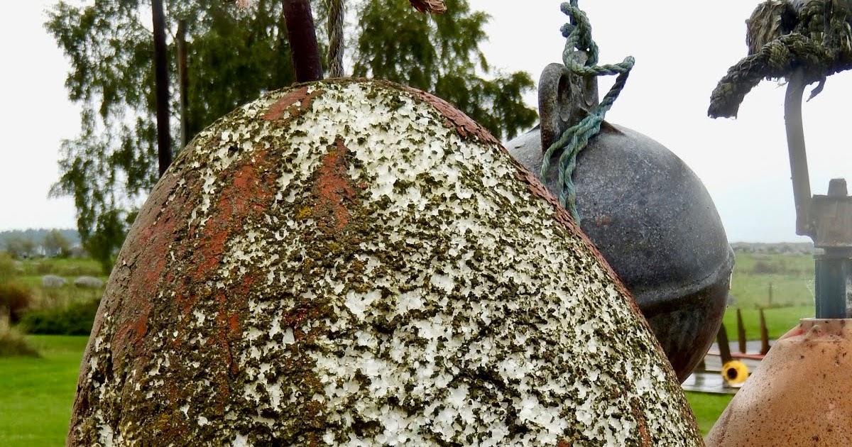 NYDAHLS OCCIDENT: Tyskt krigs-DNA eller "bara ad Hitlerum"?