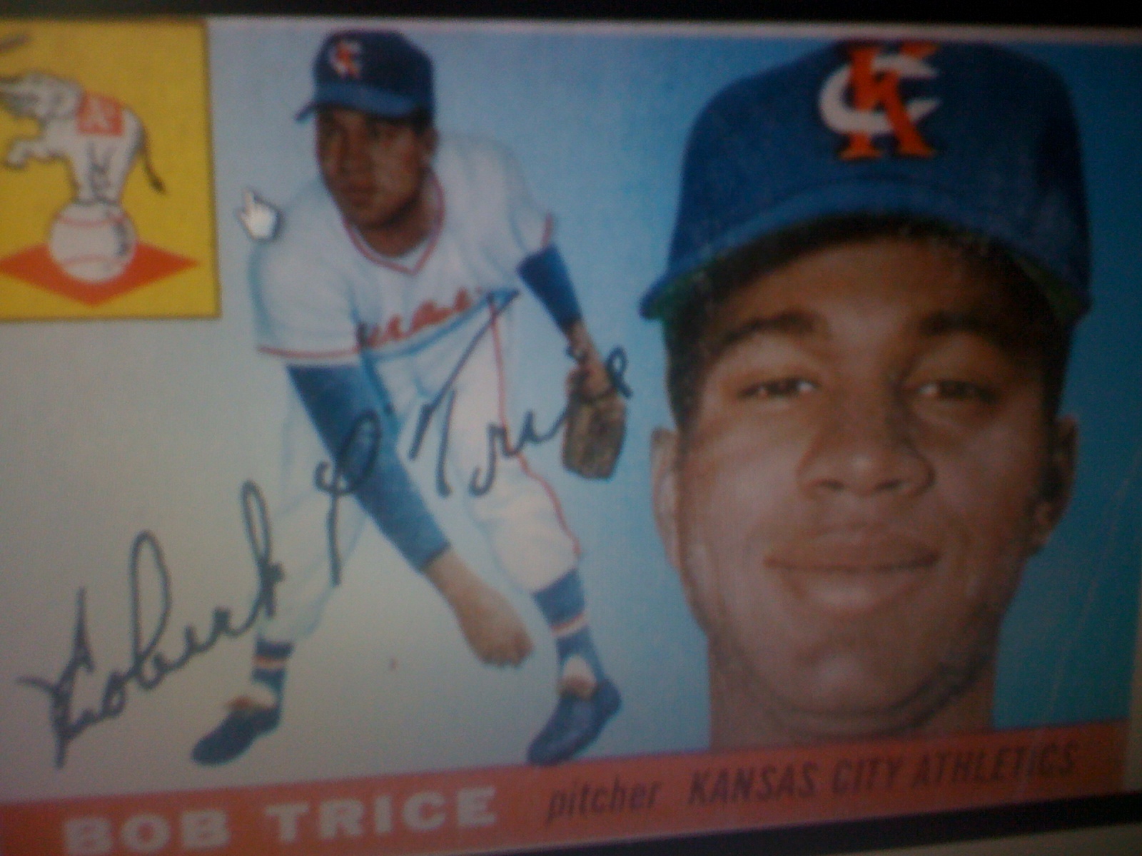 THE BLACK SOCIAL HISTORY:: BLACK SOCIAL HISTORY : AFRICAN AMERICAN A ...