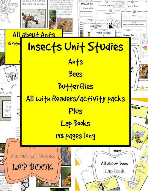 The Hermit Crabs Homeschool: Insects Unit Study
