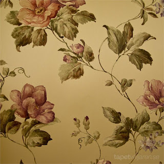 Tapeter gamla mönster – Fönsterskrapa med teleskopskaft