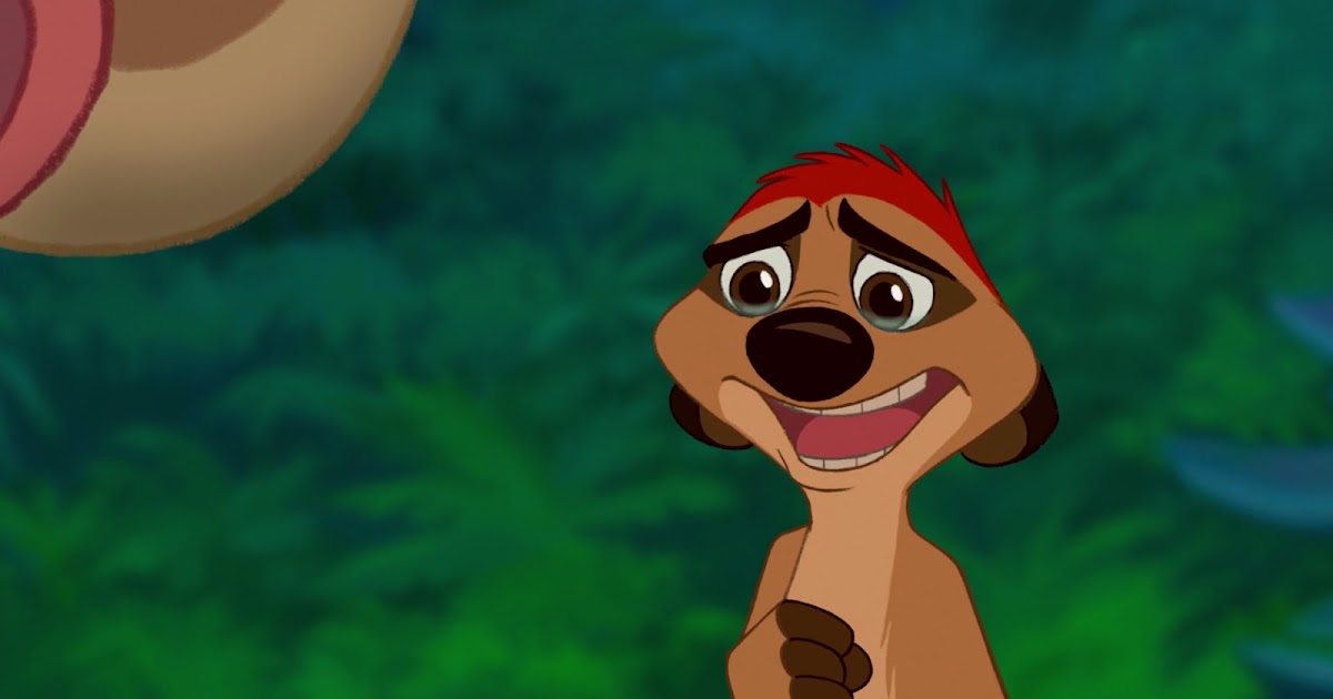 Timon's sad Look