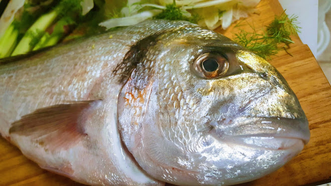 Le poisson : critères de fraîcheur et conservation