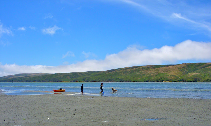 Honey's Treasures: Camping Trip to Dillon Beach
