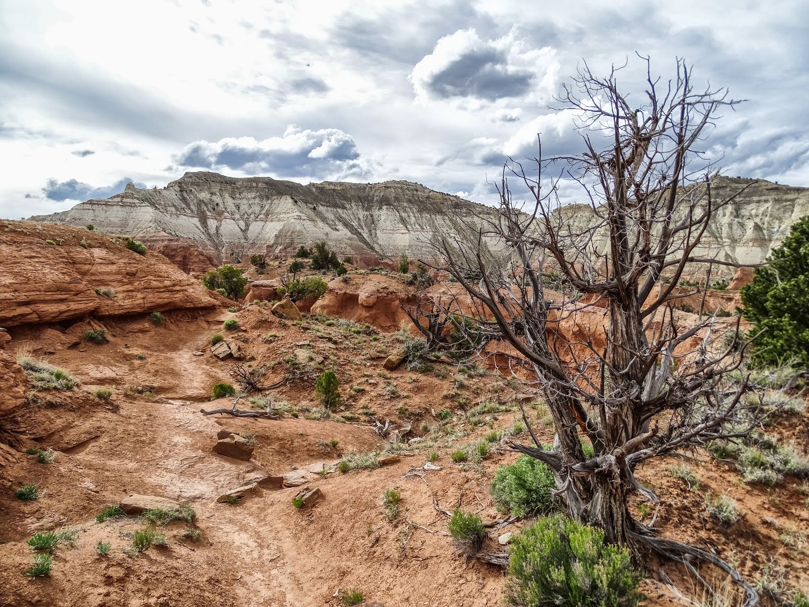 Walking Arizona: Sandstone Wilderness