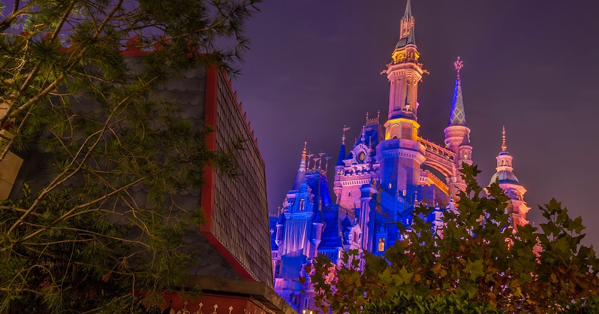 Disney Photoblography