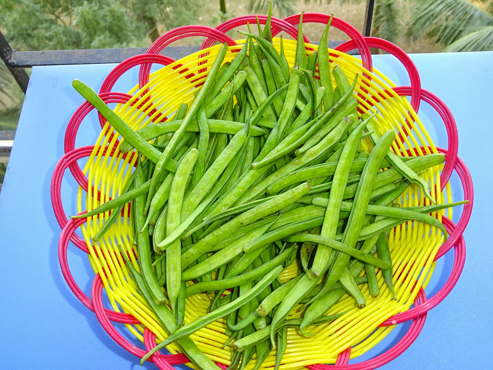 Cluster Beans In Kannada