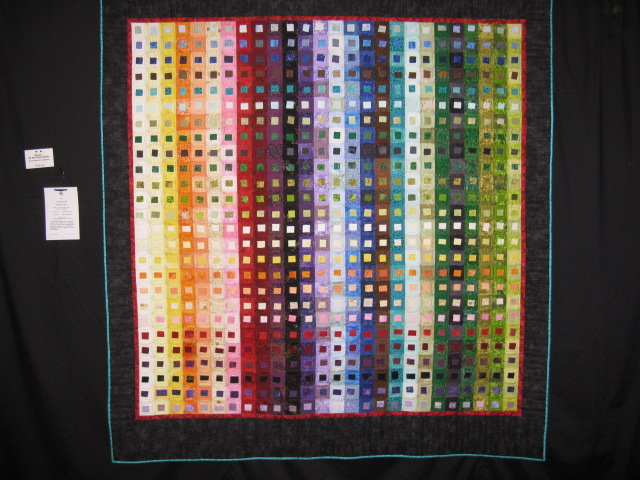 Quilting Blog - Cactus Needle Quilts, Fabric and More: My Matrix Quilt