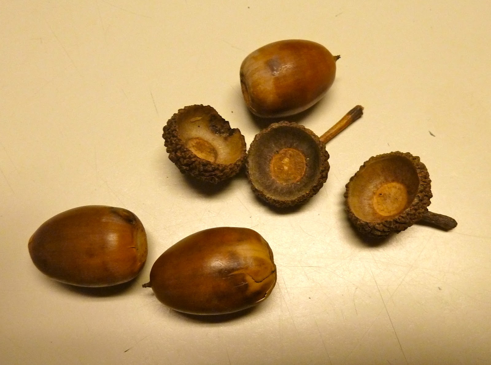 Make it easy crafts: Little acorn ghosts