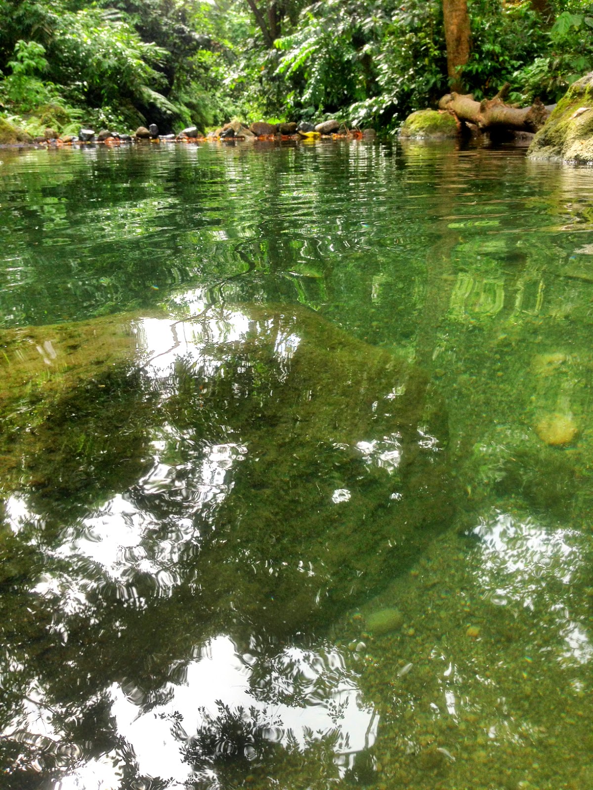 Zarene's Travel: Calijon Falls in Malvar, Batangas