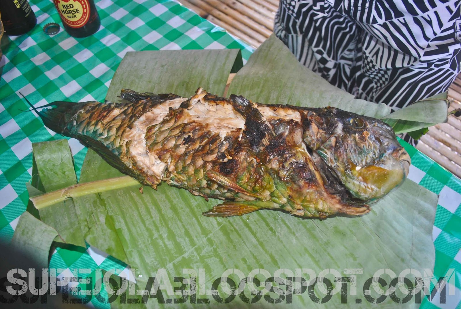 EXPERIMENTAL DISH : GASPAR ISLAND, MARINDUQUE