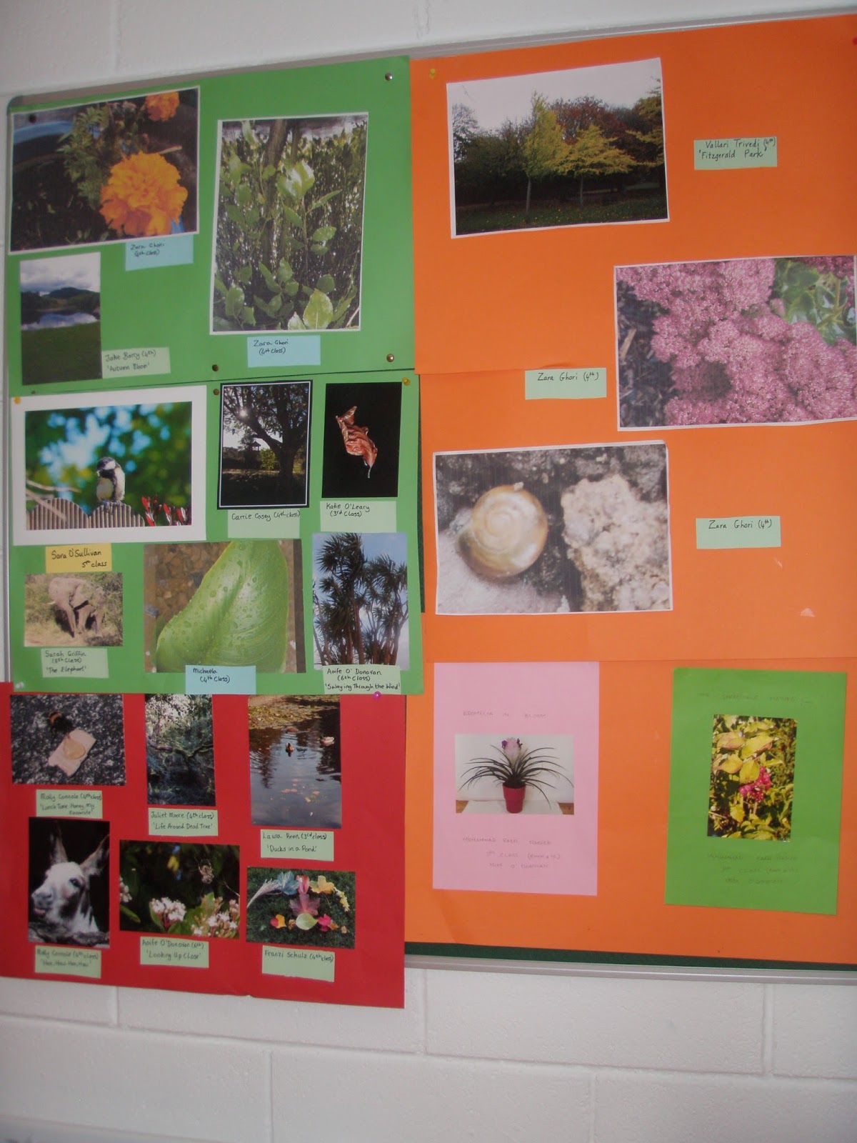 Scoil Nioclais Green Schools