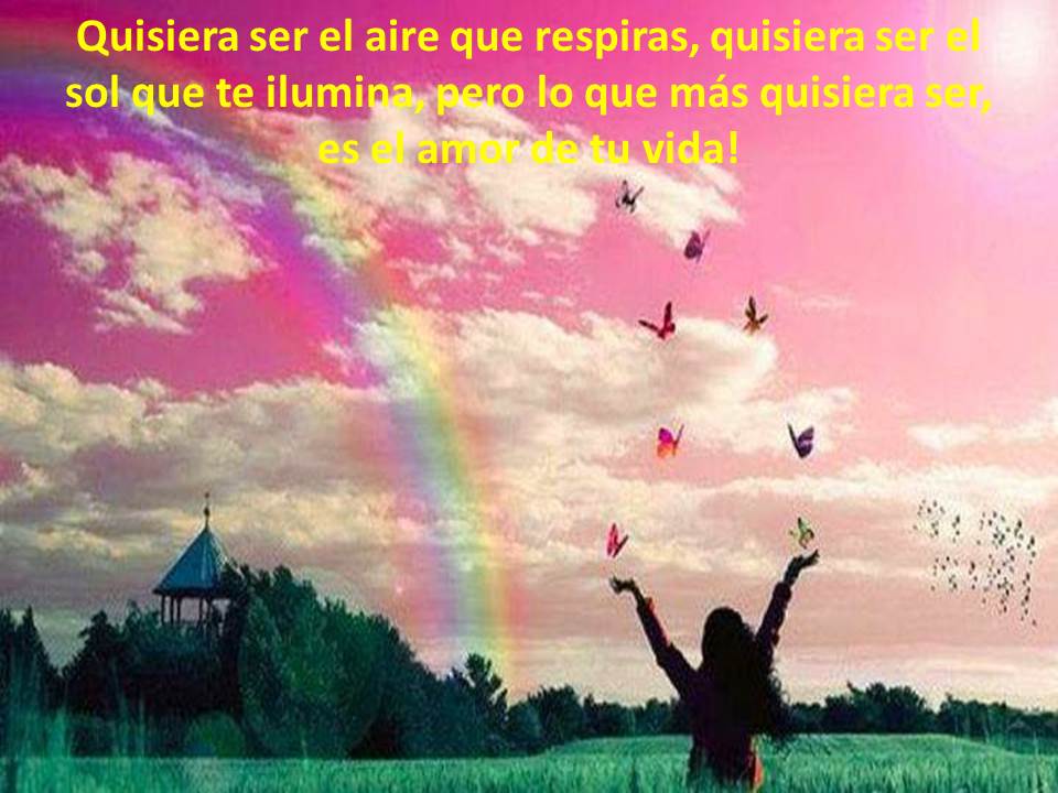 Quisiera ser el aire que respiras, quisiera ser el sol que te ilumina ...