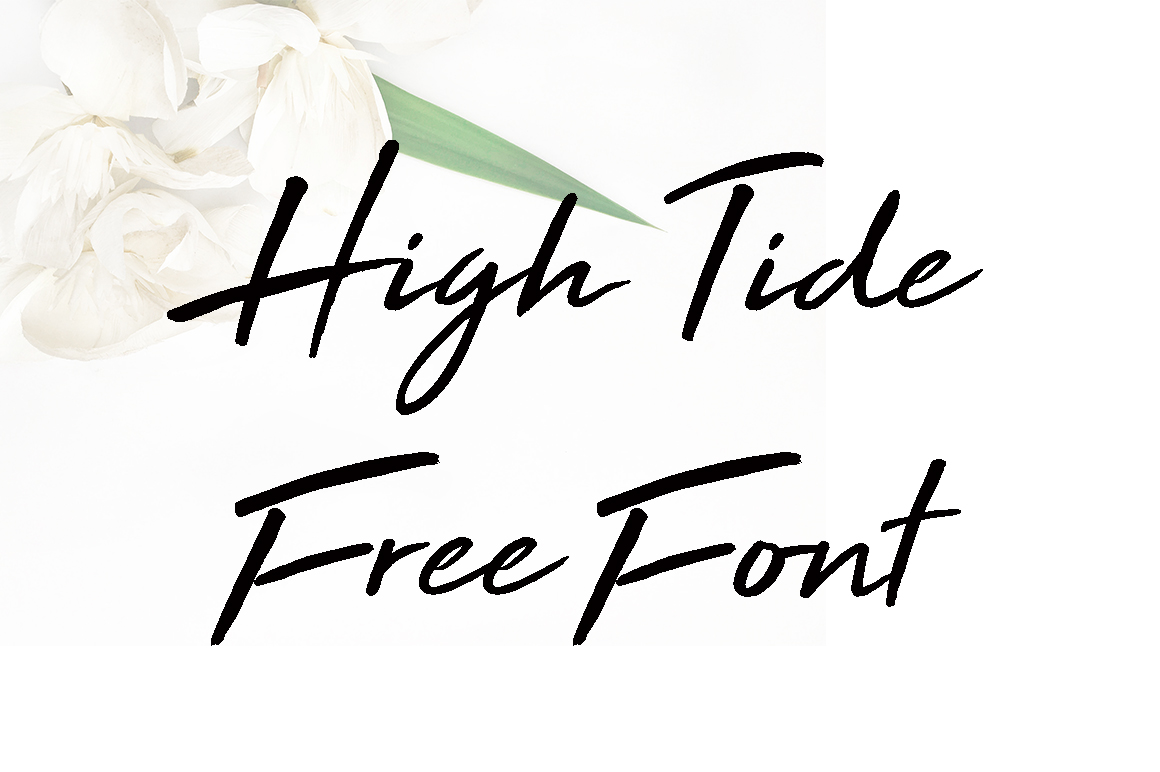 DLOLLEYS HELP: High Tide Free Font