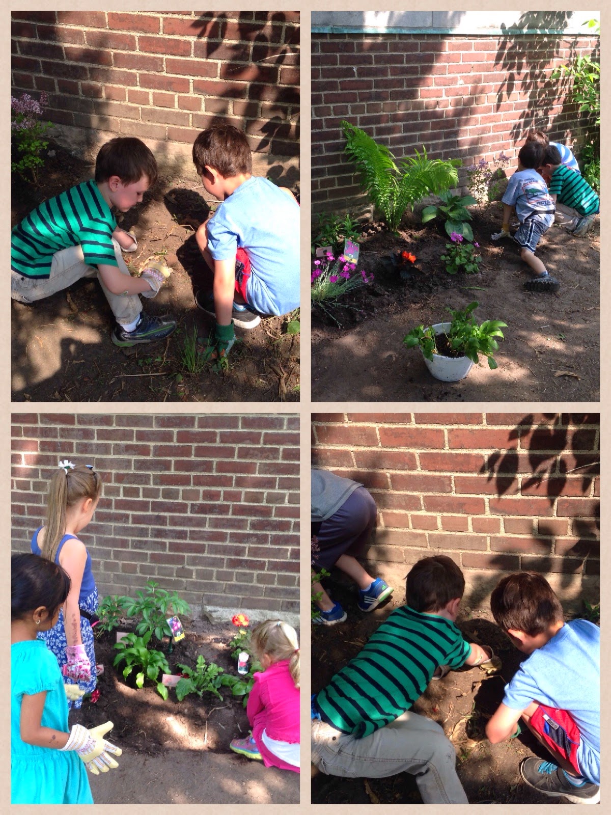 Wonders in Kindergarten: Creating our beautiful flower garden!