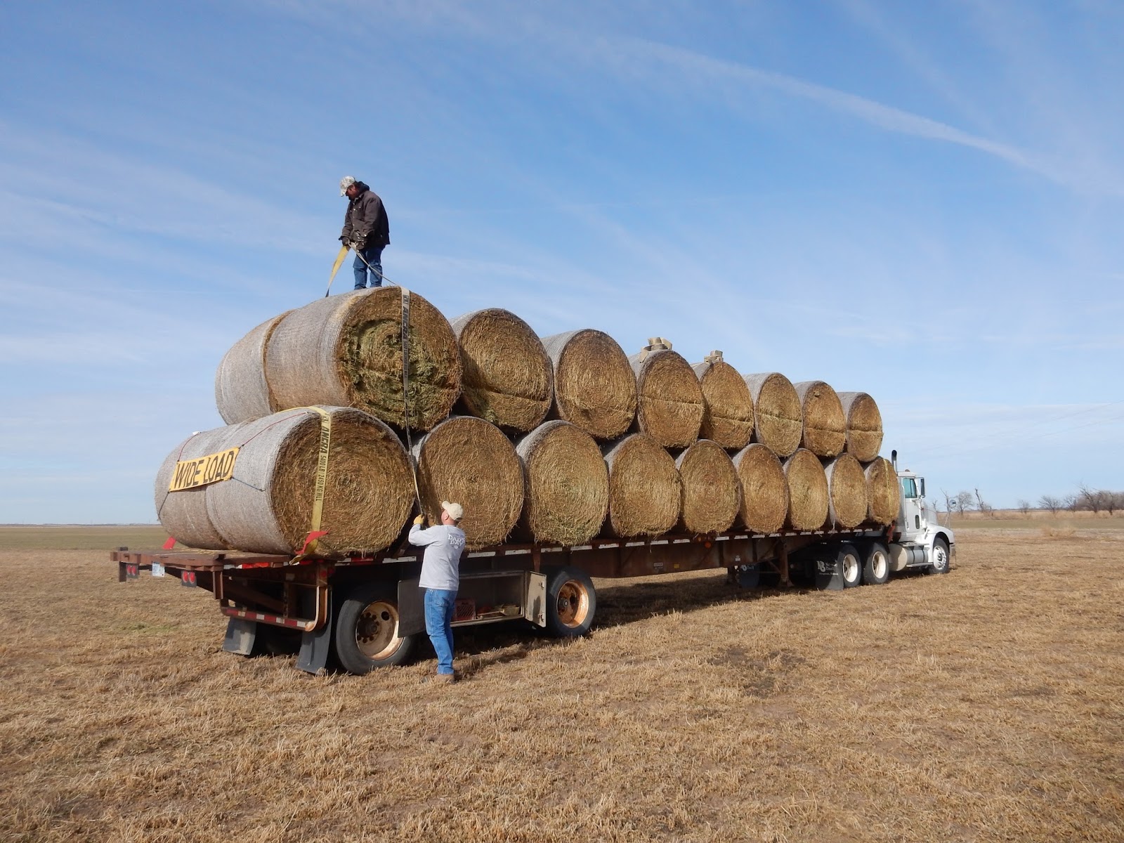 Kim's County Line: In Its "Hayday"