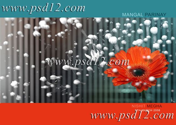 12x18 Photo Album HD Mix Backgrounds - PSD12