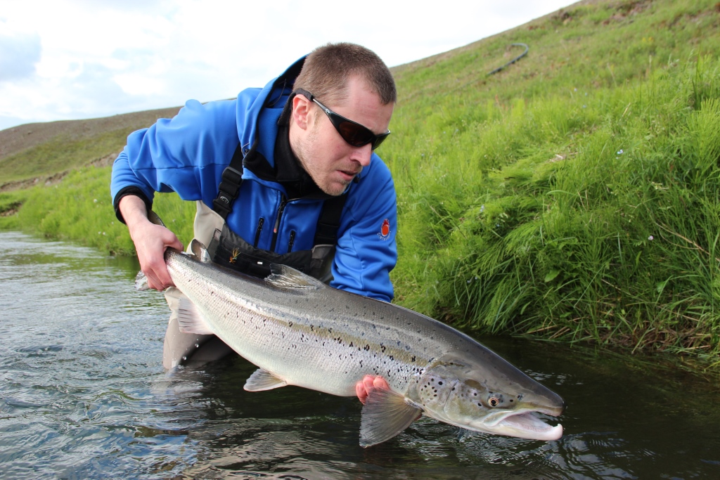 Fly Odyssey - Newsletters: Iceland salmon season update: Huseyjarkvisl ...