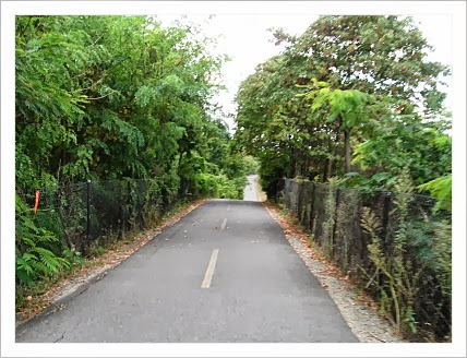 Washington Speaks: Miracle on the W and OD Trail