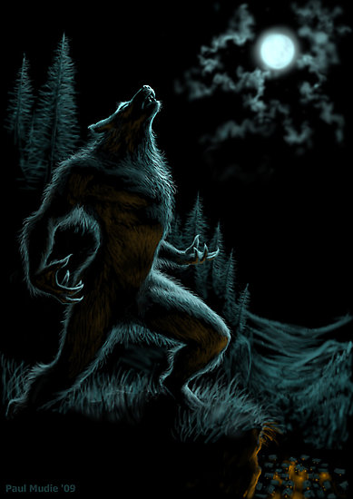 TOP 15 WEREWOLF FACTS AND FALLACIES!!
