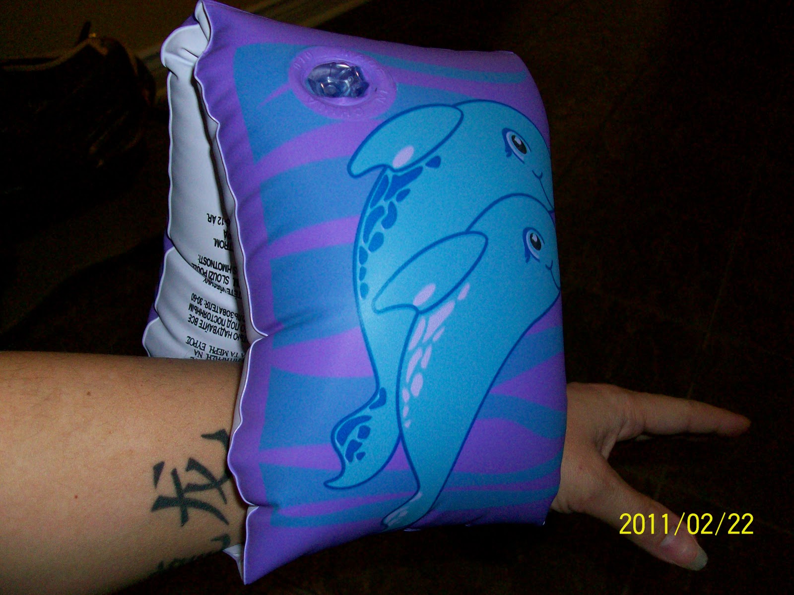 My Journal - Week 78 (20Feb11)