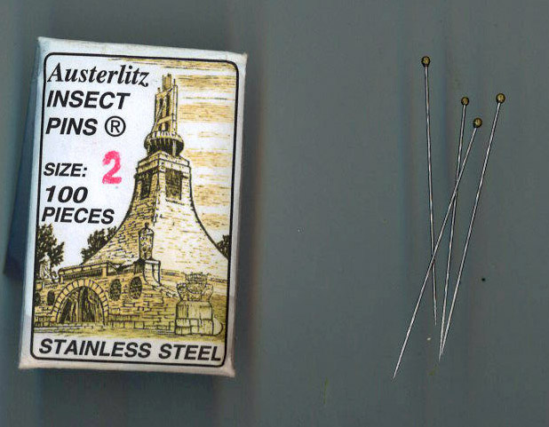 Taxonomic Collections: Pinning and labelling beetle specimens