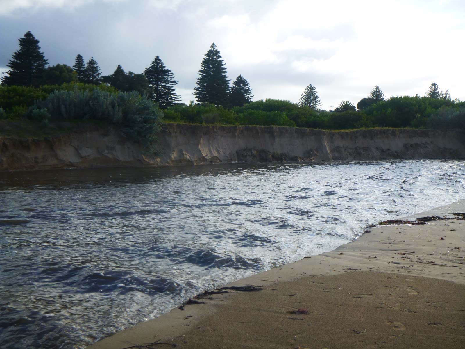 Back Valley seasons: Morning walk, the Inman River has a new exit.