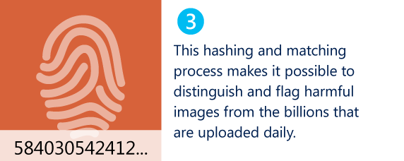 Blog elhacker.NET: PhotoDNA, la herramienta de Microsoft para combatir ...