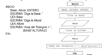 Fundamentos de programación: ¿Que es el pseudocódigo?