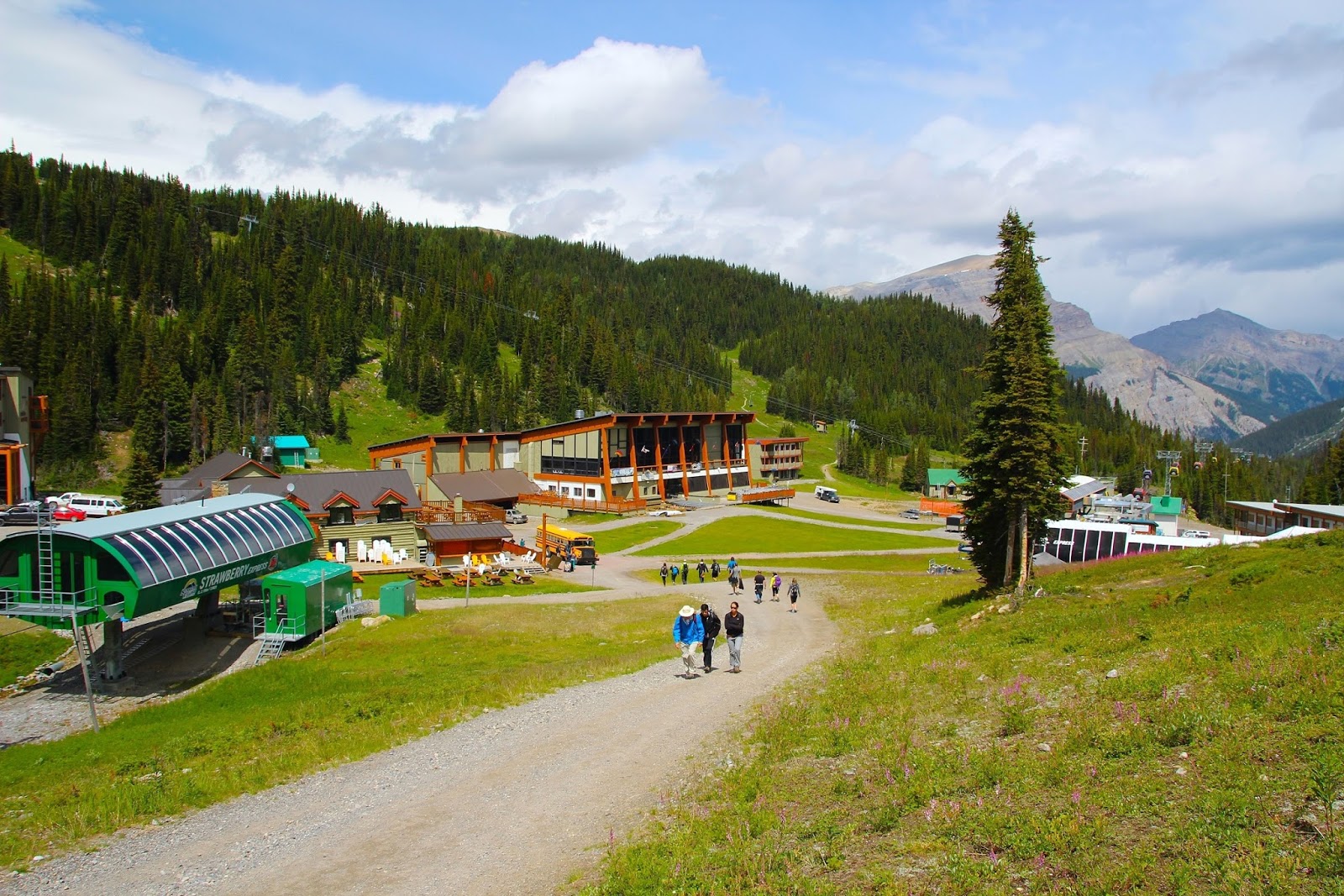 Get Me Outdoors: Sunshine Meadows