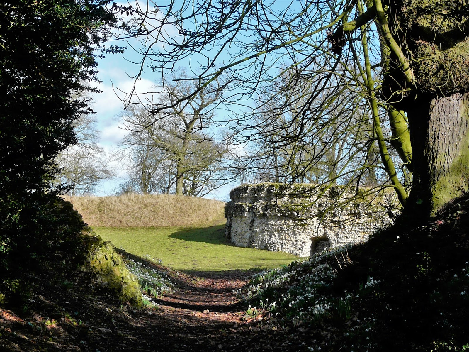 Cindy's Snaps: New Buckenham Castle, Norfolk.....