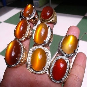 Mengenal Aneka Jenis Batu Raflesia Bengkulu | RED RAFLESIA