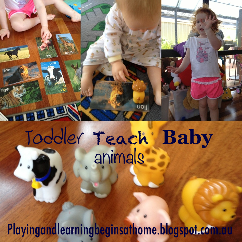 Playing and Learning Begins at Home: Toddler teach baby animals!