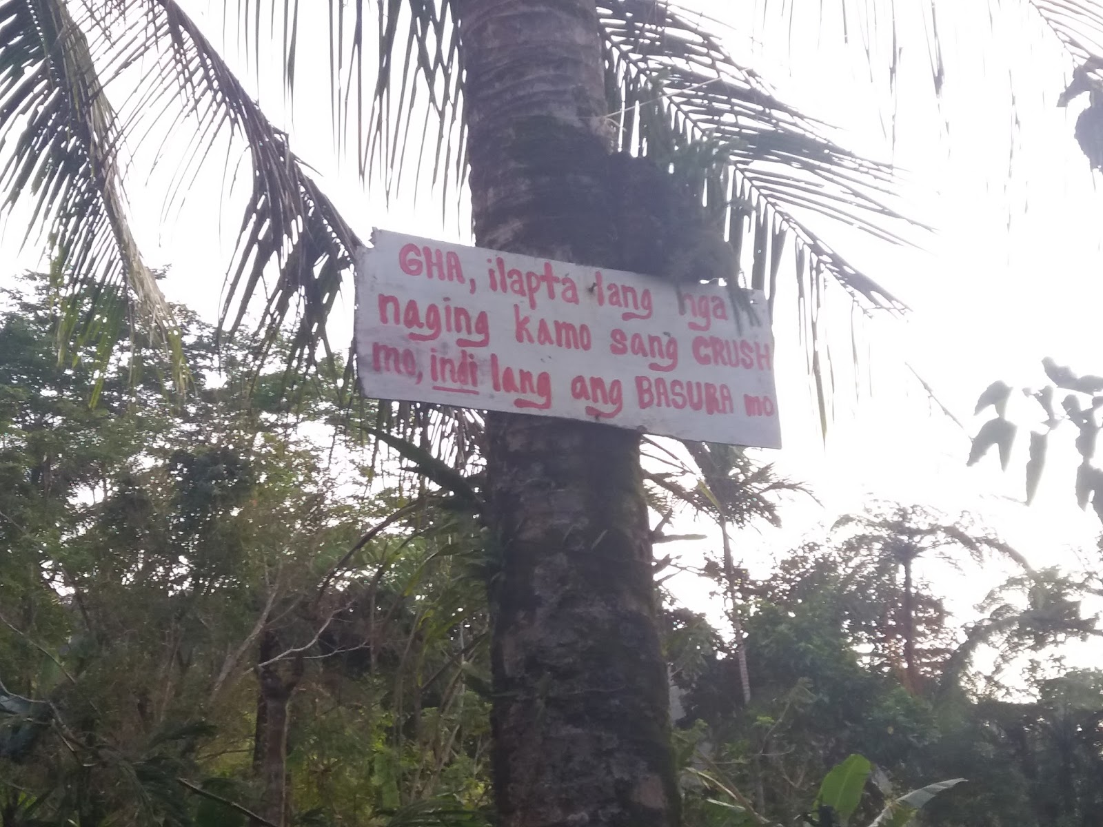 Lakbay Hugot: Patag Mountain Resort, Silay City, Negros Occidental ...